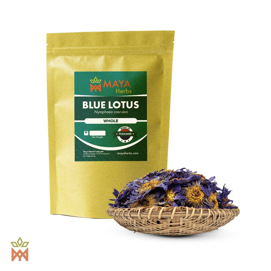 Flor de loto azul | Nymphaea Caerulea | Maya Herbs