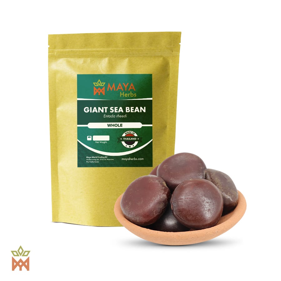 Alubia de mar gigante | Caja de rapé | Entada Rheedii | Semillas enteras