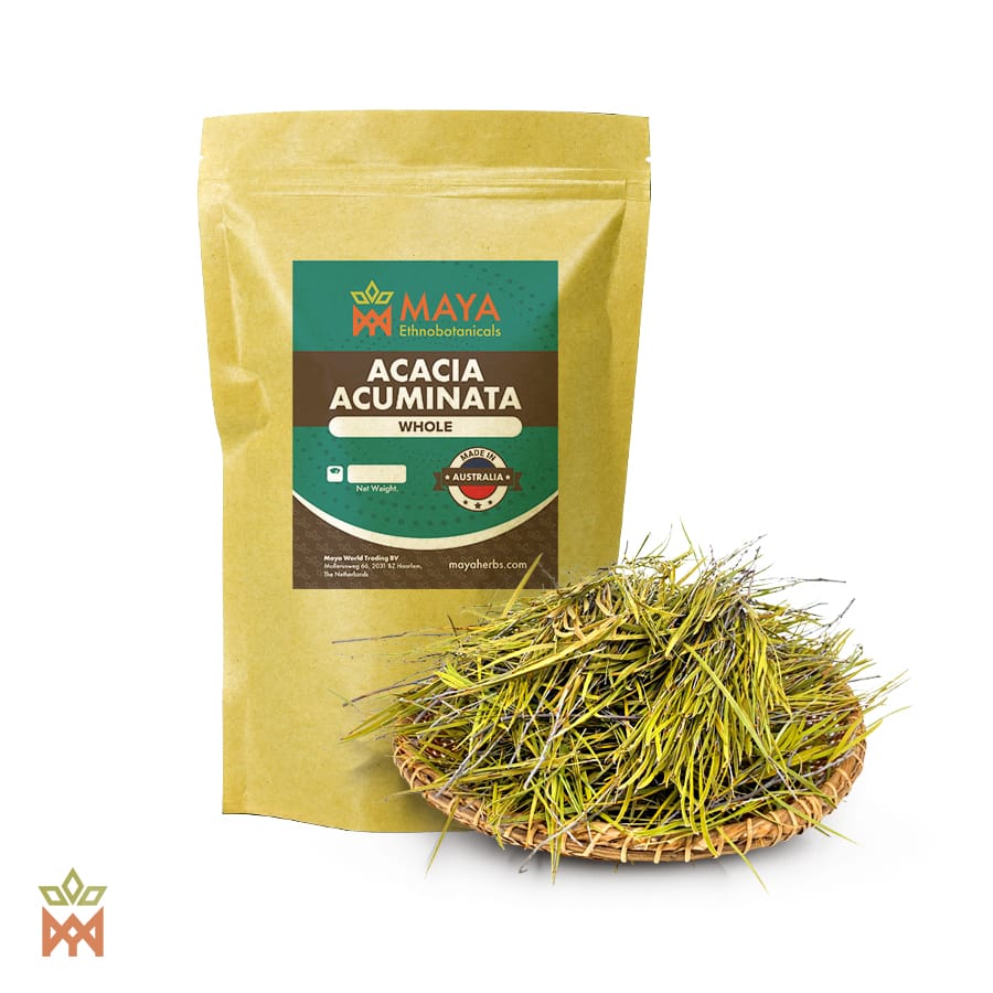 Acacia Acuminata Narrow Phyllodes | Compre aquí | Australia