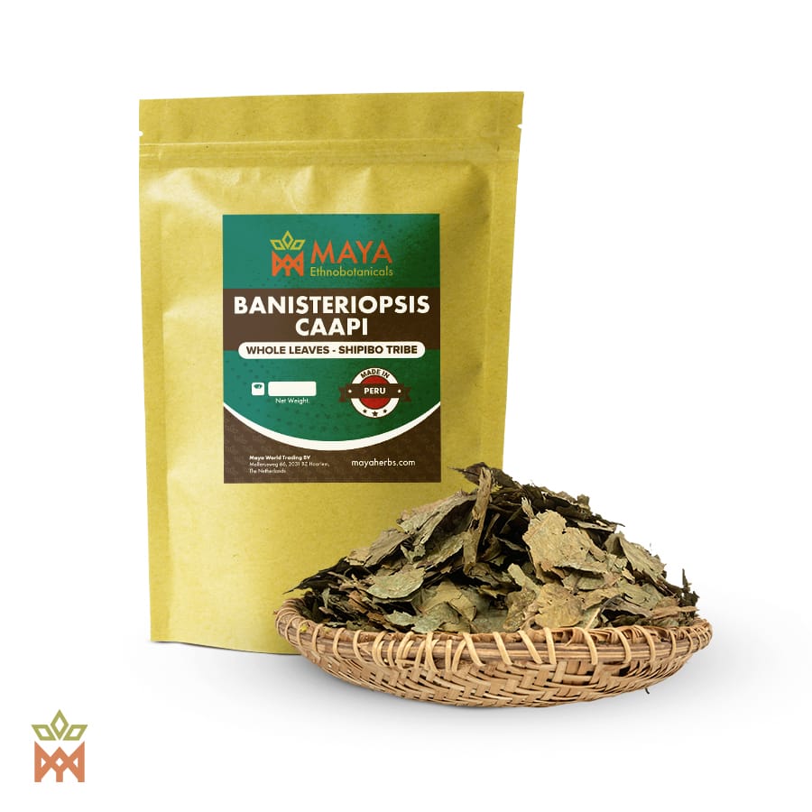 Banisteriopsis caapi | MAYA Ethnobotanicals