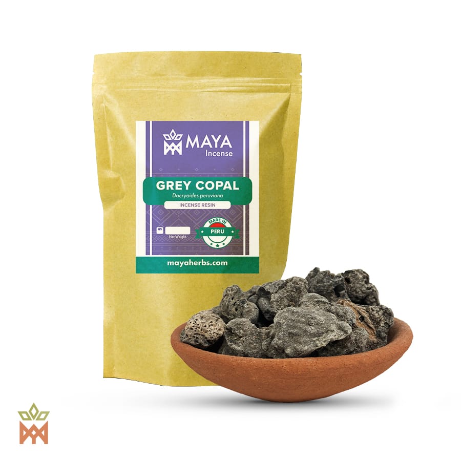 Copal gris | Dacryoides peruviana | Incienso natural | Perú