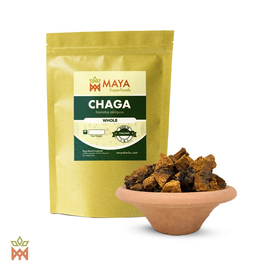 "Hongo Chaga entero de recolección silvestre de Finlandia - Inonotus ...