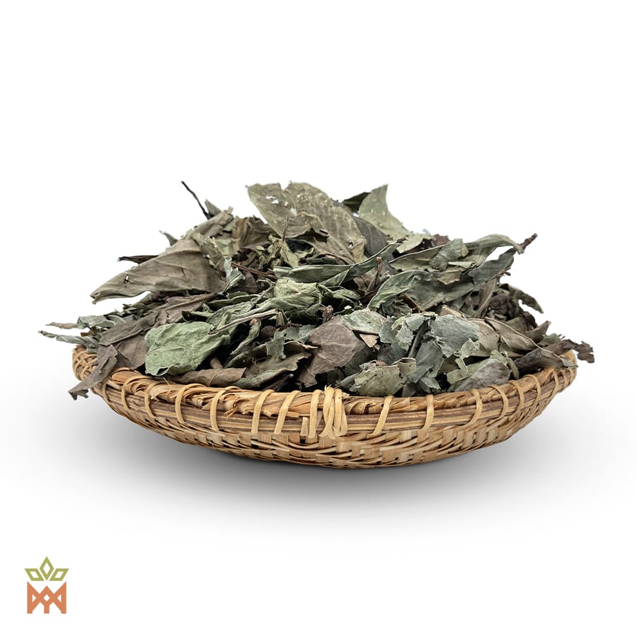 Chacruna de cultivo ecológico | Hojas enteras de Brasil